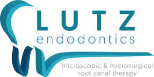 Expert Endodontist Lutz FL - Lutz Endodontics